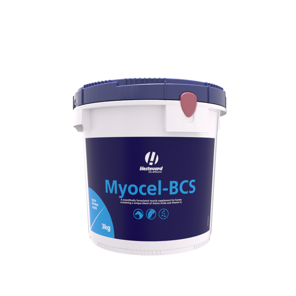 Myocel-BCS – Hestevard