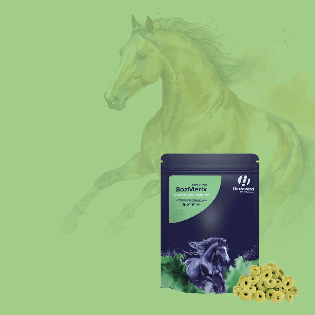 Hestevard - Ergänzungsfuttermittel in Tierarzt Qualität