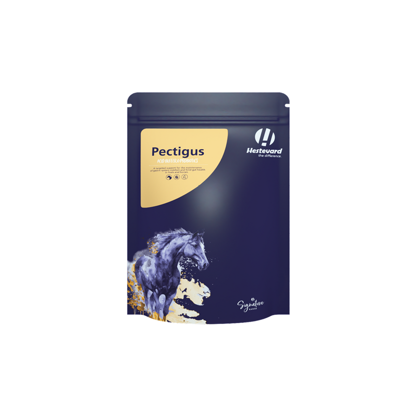 Hestevard - Ergänzungsfuttermittel in Tierarzt Qualität