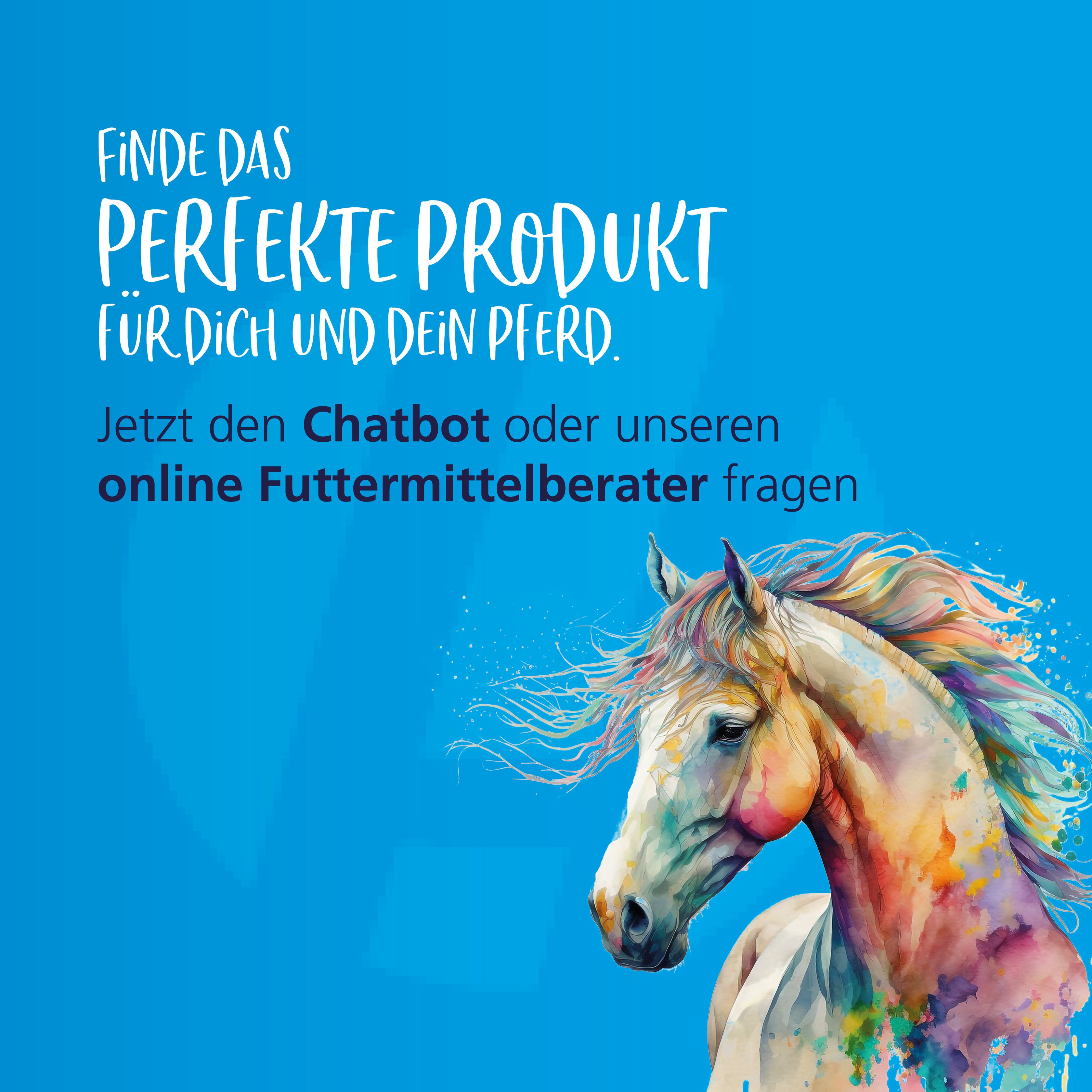 Hestevard - Ergänzungsfuttermittel in Tierarzt Qualität